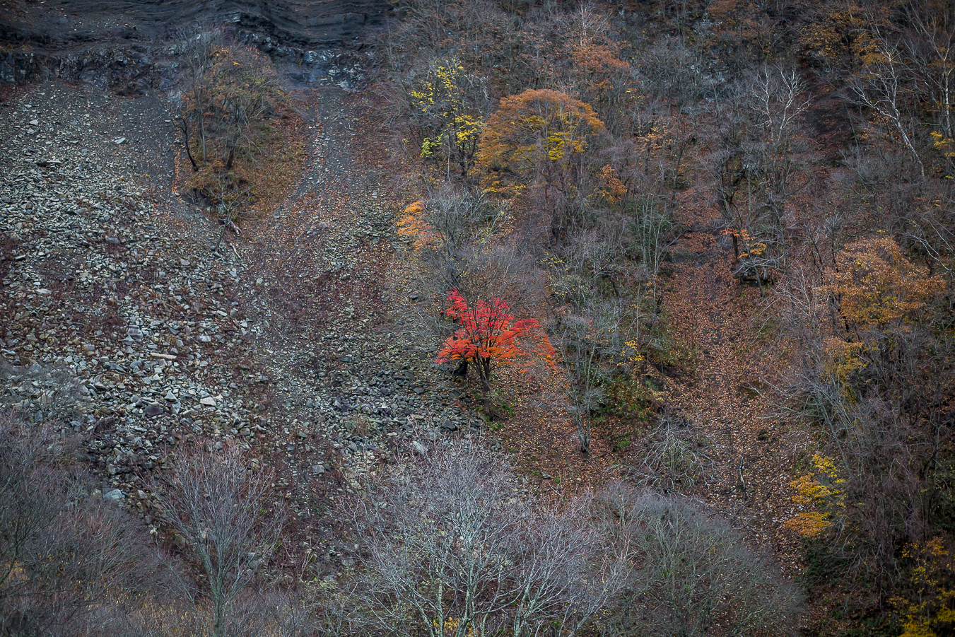 Yubari - Hokkaido Guide